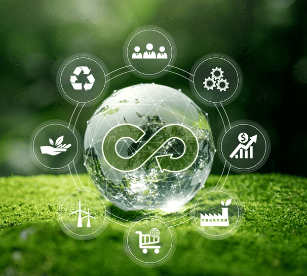 Production of sustainable and biodegradable materials based on 3-methyl-d-valerolactone (3MdVL ...